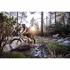 Mongoose Argus ST Fat Tire Mountain Bike for Adult Men Women, 26-Inch Wheels, Mechanical Disc Brakes, 17-Inch Steel Hardtail Frame, 7-Speed, Copper