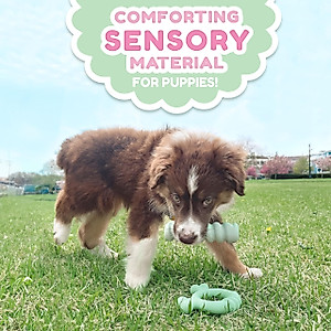 Nylabone Sensory Material Puppy Chew Toy Stick - Puppy Teething Toy for Boredom & Stimulation - Puppy Supplies - Peanut Butter Flavor, Small/Regular (1 Count)