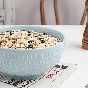 KOOV 24 Ounce Soup Bowl Set, Porcelain Cereal Bowls Microwave And Dishwasher Safe, Kitchen Bowls For Oatmeal Breakfast, Chip, Rice, Ceramic Bowls Set of 4 (Blue Series)
