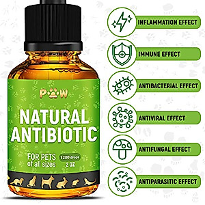 GoldenPaw Herbal Pet Supplement for Cat