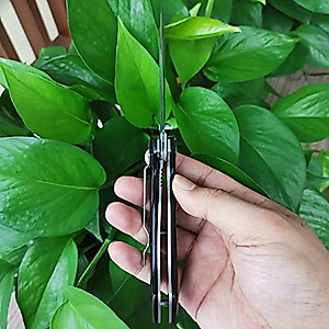 ALBATROSS Ebony wood 7.5" EDC Sharp Damascus Folding Pocket Knife with Liner Lock - Gift Box - HGDK011