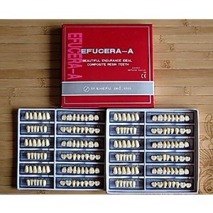 24 Plate 28X1 A1 Denture Shanghai ACRYLIC RESIN Teeth Dental Size 22