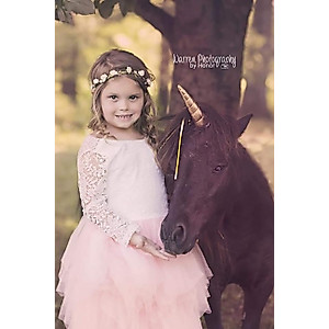 DDazzling Flower Crown Floral Wreath Headband Floral Garland Headbands photo props (Ivory)