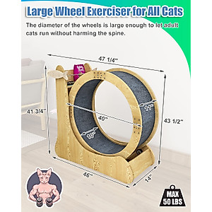 MIWOOYY Large Cat Exercise Wheel with Scratcher and Storage - 40 Inch Natural Solid Wood Cat Treadmill for Indoor Cats Run Motion & Play (Snail)