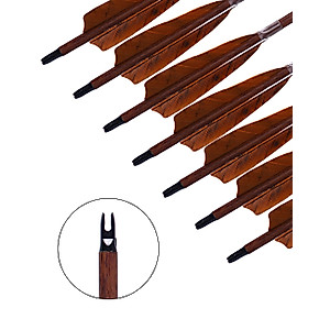 PANDARUS Archery 31-Inch Carbon Hunting Arrows, 4-Inch Turkey Feather Fletching with Replaceable Points, Targeting Practice Arrows Spine 500 for Recurve & Traditional Bows (12 Pack)