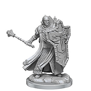 D&D Frameworks: Human Cleric Male - Unpainted and Unassembled