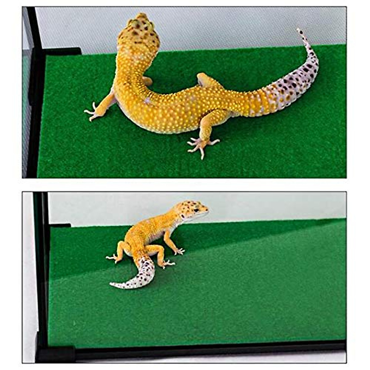 Tfwadmx 39" X 20" Reptile Carpet Mat Substrate Liner Bedding Reptile Supplies for Terrarium Lizards Snakes Bearded Dragon Gecko Chamelon Turtles Iguana (2 Pack)