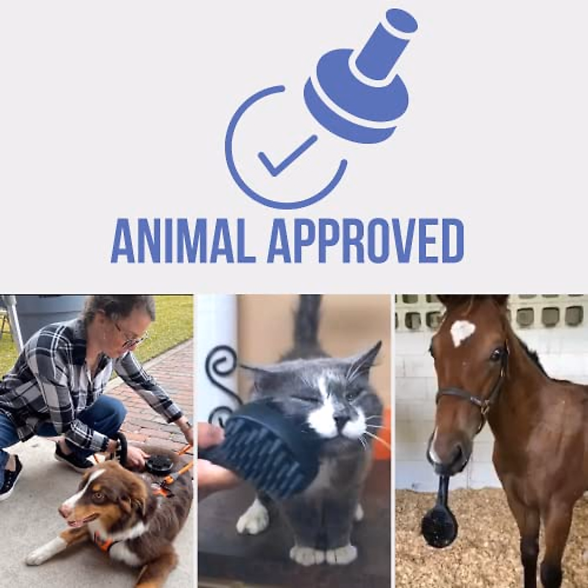 Curry on a Stik' - Dog Brush for Shedding, Grooming, Bathing, & Therapeutic Massage Tool - For Long & Short Haired Dogs - Decreases Shedding & Increases Coat Health - Veterinarian Approved - Ergonomic