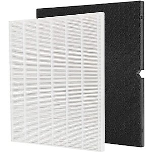 VIEWALL 116130 Replacement Filter H Replacement Compatible with Winix 5500-2 Air Purifier and Models AM80, HEPA Filters + Activated Carbon Filter Combo Pack