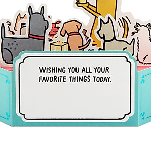 Hallmark Paper Wonder Shoebox Funny Pop Up Card (Dog's Favorite Thing) for Mother's Day, Graduation, Birthdays, Celebrations