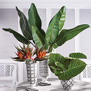 Napa Home & Garden Strelitzia Leaf 63" Bundle/2