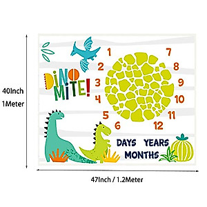 Dinosaur Baby Stuff Month Milestone Blanket for Newborn Photo Taken - Baby Age Blanket