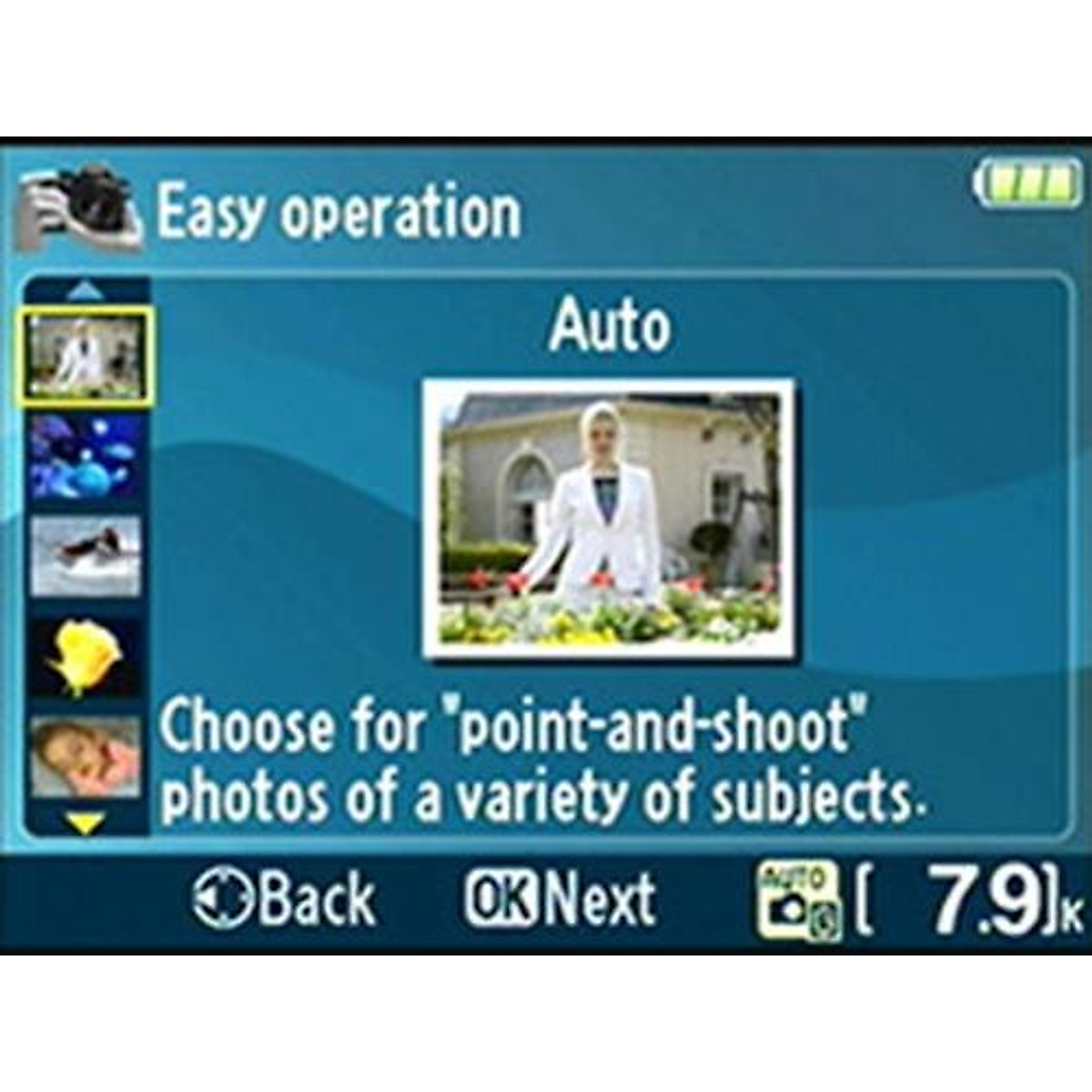 Nikon D3200 24.2 MP CMOS Digital SLR with 18-55mm f/3.5-5.6 AF-S DX VR NIKKOR Zoom Lens (Import)