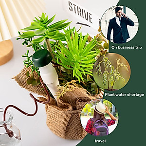 32 Pack Automatic Plant Watering Stakes Potted Plants Watering Spikes Houseplant Self Watering Devices Terracotta Self Drip Irrigation Waterer Set for Indoor Outdoor Vacation Plants Nanny (White)