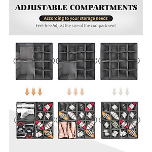 Livelab Foldable Shoe Organizer, Space Saving Fabric Shoe Holder for Closet, Adjustable Dividers for Shoe Storage Bins with Clear Cover & Bottom Support, Shoe Cube Organizer Up to 16 Pairs (Black)