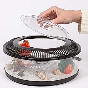 Repitat Reptile Carrier with Cover and Handle