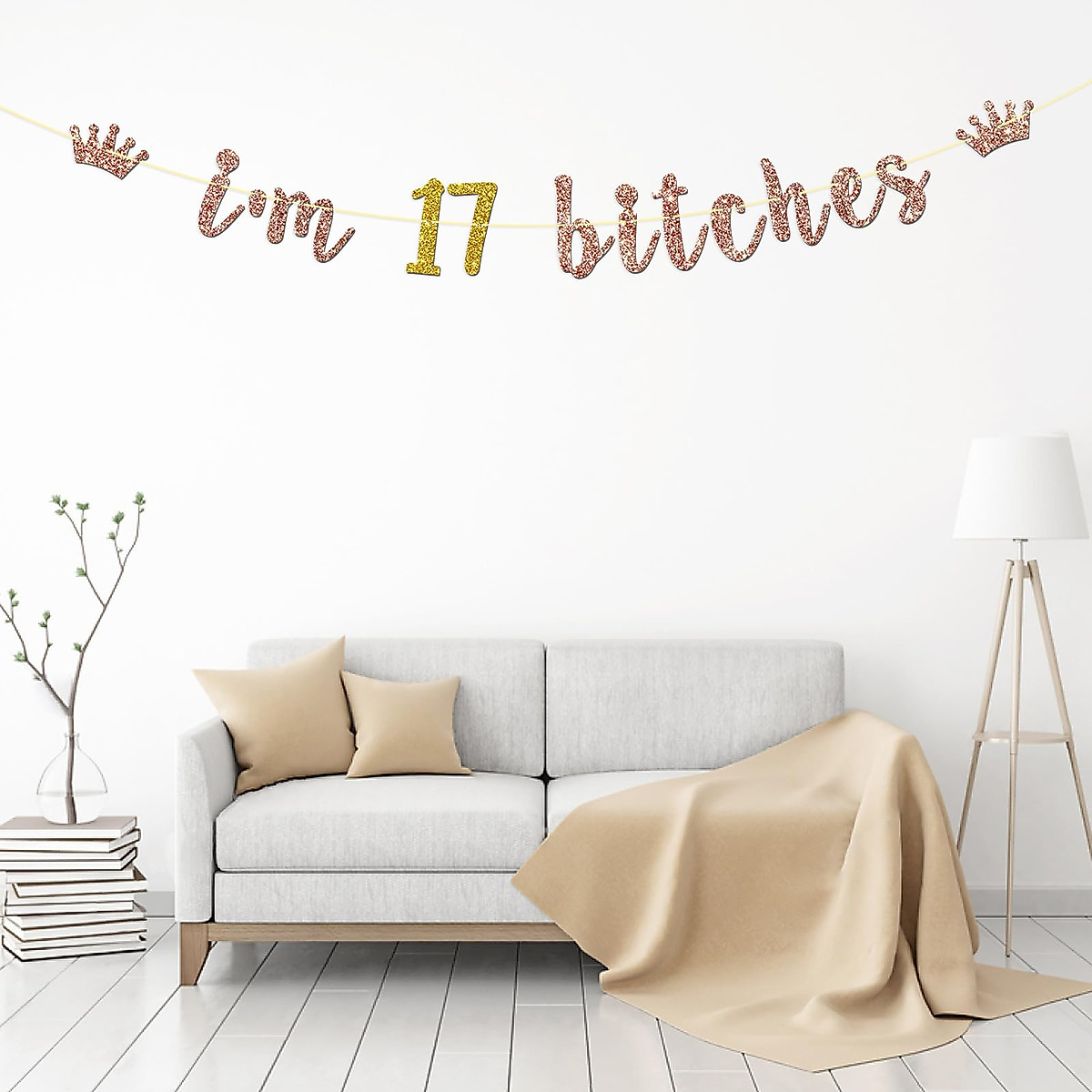 I'm 17 Bitches Banner, 17th Birthday Party Decor, Funny Seventeen Years Old Birthday Banner, Girl's 17th Birthday Party Decorations (Rose Gold)