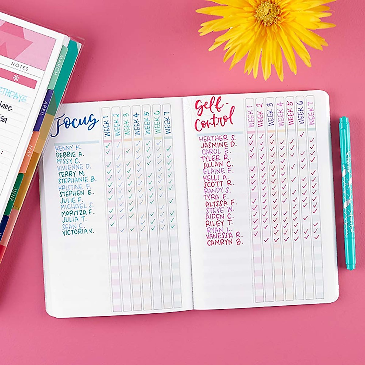 Erin Condren Designer Petite Journal Checklists - Multicolored Hexagon Design Theme. Great for Tracking Daily and Weekly Lists with Blank Customizable Fields