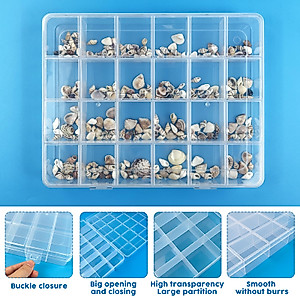 Rainmae Seashell Display Box, 24 Grids Seashell Storage Box, Transparent Plastic Seashell Starfish Trinket Storage Box, Small Craft Organizers Container for Bead, Nail, Jewelry, Stones
