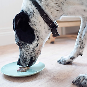 Double Helix Water for Pets Pack of 3