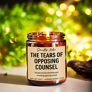 Younift Funny Lawyer Candle, Lawyer Gifts for Women, Men, Law School Gifts, Law Student Gifts, Cool Christmas Gifts for Lawyers, Future Lawyer, Attorney Gifts, Lawyer Office Gifts, Graduation