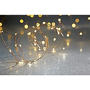 Ashland Michaels 40ct. Warm White Copper Wire LED String Lights