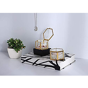 Jovivi Gold Copper Clear Glass Lid Terrarium Box/Bracelet Necklace Earrings Ring Jewelry Display Organizer Decorative Box Case Home Office Decor