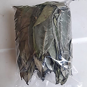 Freshly Dried Soursop Leaves (Annona Muricata) - 400 Leaves
