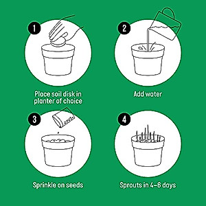 The Cat Ladies Cat Grass Refill Kit 100% Organic 3 Pack