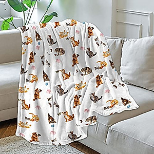 Qnyko Flannel Fleece Throw Blanket 40×50 Inches, Extra Cozy Soft Warm Microfiber Fleece Blanket with Cute Vivid Animal, Lightweight Fluffy Fuzzy Plush Blanket for Kids Youth Adults (Cat Chocolate)