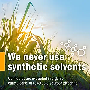 Herb Pharm Certified Organic Stoneroot Blend Liquid Extract for Cardiovascular and Circulatory Support-4 oz