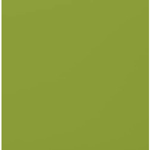 RSH Décor Outdoor Tempotest Single Tufted Adirondack Chair Seat Cushion Weather Resistant, (Classic Ginko Green)