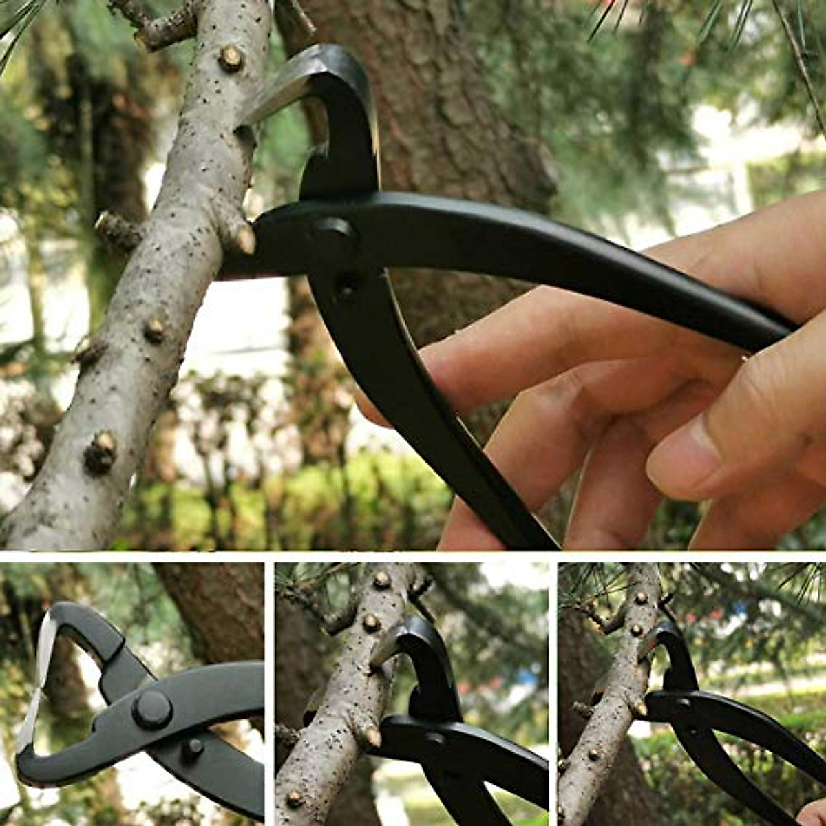 Bonsai Tool Kit, 6 Piece Bonsai Tree Scissors Shear Tool Set with Storage Bag, Garden Plant Hand Tools for Trimming Cutting