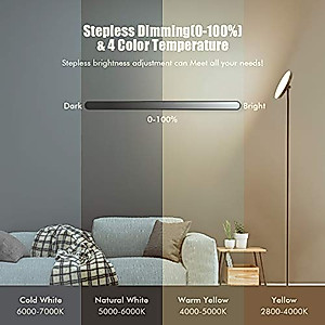Super Bright LED Floor Lamp with Remote & Touch Control for Living Room /Bedroom /Office ,Sky Standing Tall Lamp 30W/2800LM with Timer,Torchiere Lamp with Stepless Dimmer&4 Color Temperature