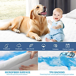 Eiayeebil Queen Quilted Fitted Waterproof Mattress Protector, Noiseless Mattress Cover with 6"-18" Deep Pocket, Breathable and Soft Waterproof Mattress Pad Mattress Topper