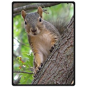 Excellent home Custom Squirrels in The Trees Unique Bed/Sofa Soft Throw Blanket 58"x80"
