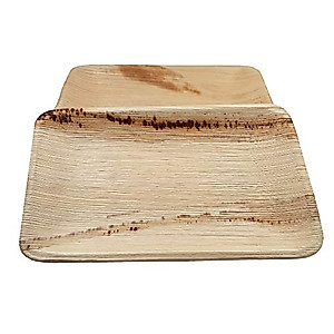 Dtocs Palm Leaf Plates 6x9 Inch Rectangle Tray (Pack 50) | Bamboo Plate Like Biodegradable Compostable Plate, Disposable Charcuterie Board, Mini Cheese Board | Sturdy Than Heavy Duty Paper Plates