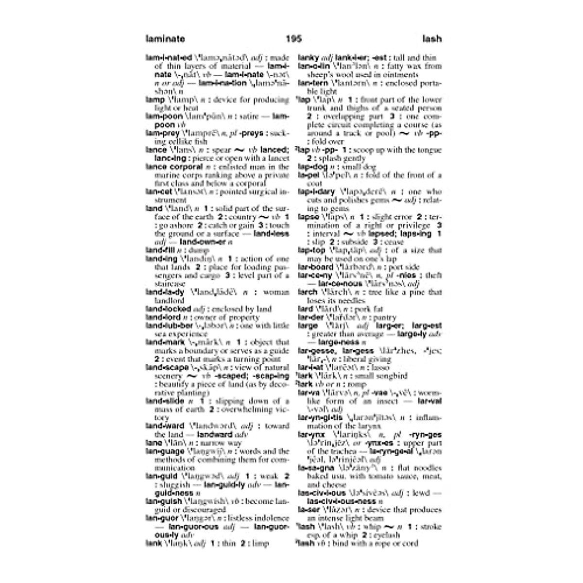 Webster's American English Dictionary, New Edition