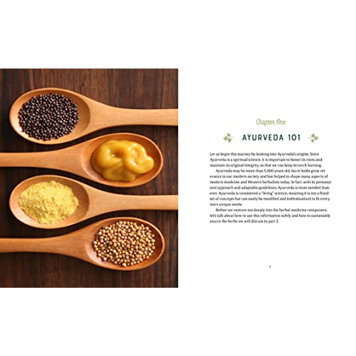 Ayurvedic Herbal Medicine for Beginners: More Than 100 Remedies for Wellness and Balance