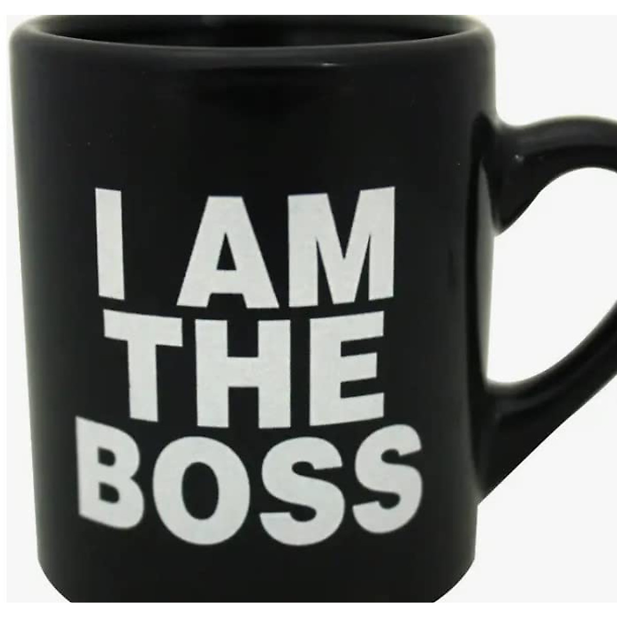 I Am The Boss Mug Shot