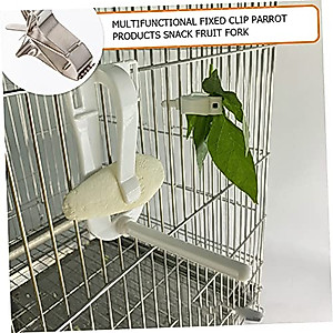10 pcs Birds Fixed Stainless Holders- Clip Treat Accessories Steel Fork Small Animal Silver Parrot Holder Cockatoo Cuttlebone Budgie Holding Fruit Clips Bird Parakeet Metal