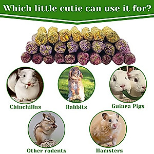 Hamiledyi 68PCS Timothy Hay Sticks Rabbit Chew Toys Mixed Natural Bunny Molar Sticks Guinea Pig Molar Rod Treats for Chinchilla Hamster and Other Small Animals Molars Snack Food