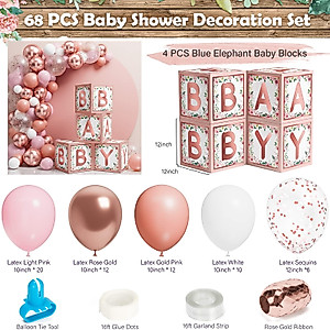 Ecomore Baby Shower Decorations for Girl - 245 PCS Gender Reveal Party Supplies Disposable Dinnerware with Rose Gold Floral Paper Plate Napkin Cutlery Tablecloth Backdrop Baby Boxs Balloon Garland Kit