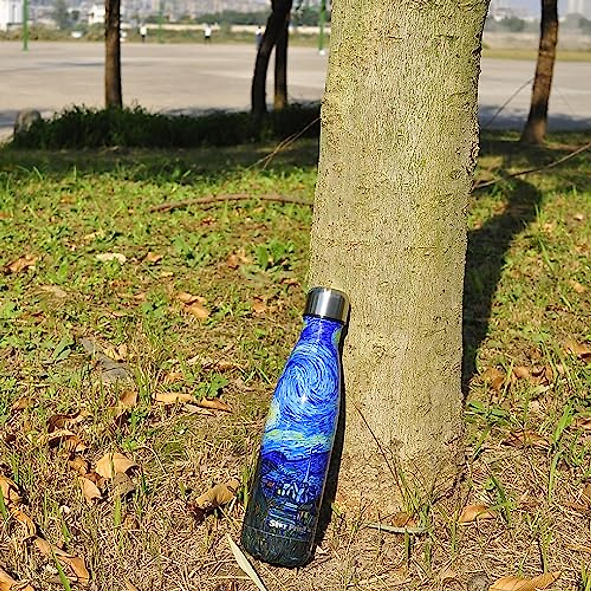 Star Print Bottle, Van Gogh The Starry Night, Double Wall Vacuum Insulated Stainless Steel Water Bottle, 17 oz