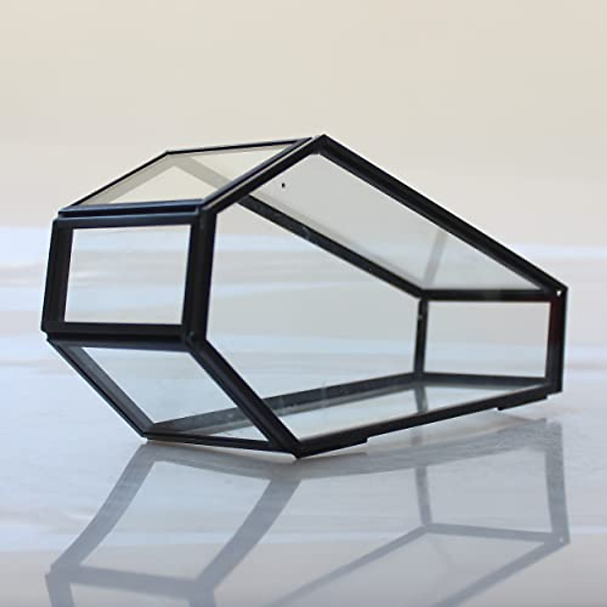 libproqia Small Coffin Glass Jewelry Box Black Trinkets Glass Coffin Terrarium Gothic Halloween Storage Vintage Coffin Box Glass Vampire Keepsake Display Organizer