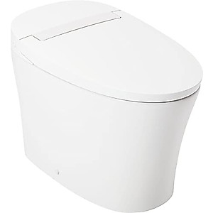Signature Hardware 477058-12-R Narelle 1.28 GPF One Piece Elongated Toilet - Standard Seat Included
