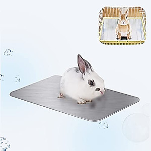 FIPASEN Rabbit Cooling Pad, 11.8x7.9 in Hamster Cooling Mat Pet Cool Plate for Rabbit Bunny Hamster Guinea Pig & Other Small Pets Stay Cool This Summer - Bite Resistance Pet Cooling Pad Ice Bed