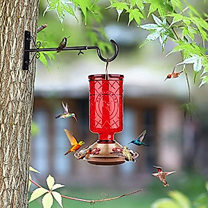 BOLITE 18023 Bird Feeder Hanger(16 to 24 Inch), Adjustable Hanging Plant Bracket, Wall Hooks for Hanging Bird Feeders, Planters, Lanterns, Wind Chimes, String Lights, 2 Pack, Black