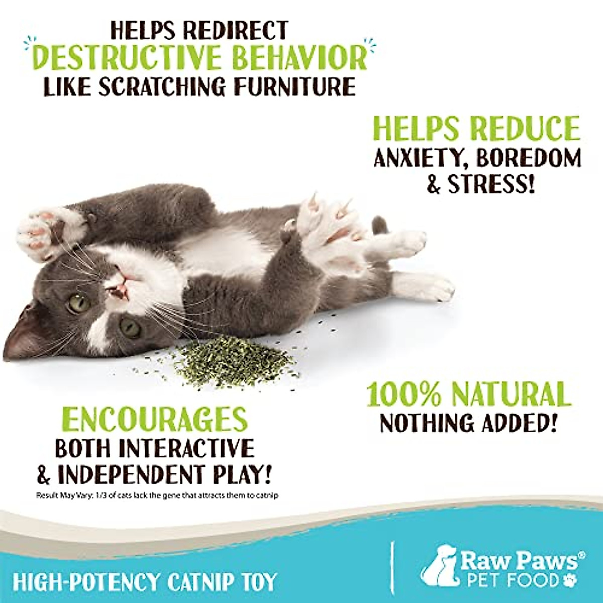 Raw Paws Natural Catnip for Cats, 1-oz - Use for Refillable Catnip Toys for Cats - Catnip Treats for Cats - Catnip for Dogs - Cat Nip Cat Grass - Dog Catnip - Dried Catnip Leaves & Seeds