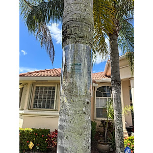 IggyWrap Iguana Tree Wrap for Iguana Prevention 57"